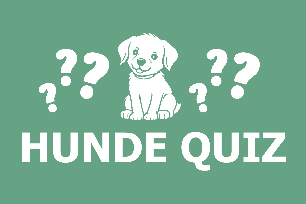Hunde Quiz - tierfreunde.com